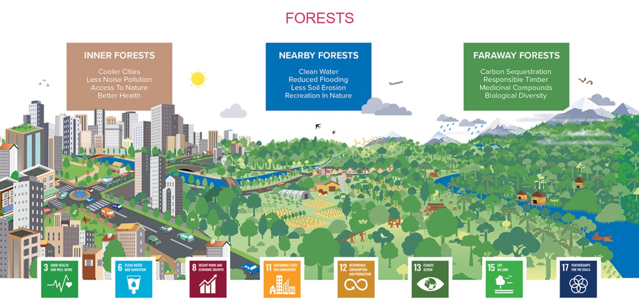 Forests: A nature-based solution for sustainable and resilient cities | REVOLVE