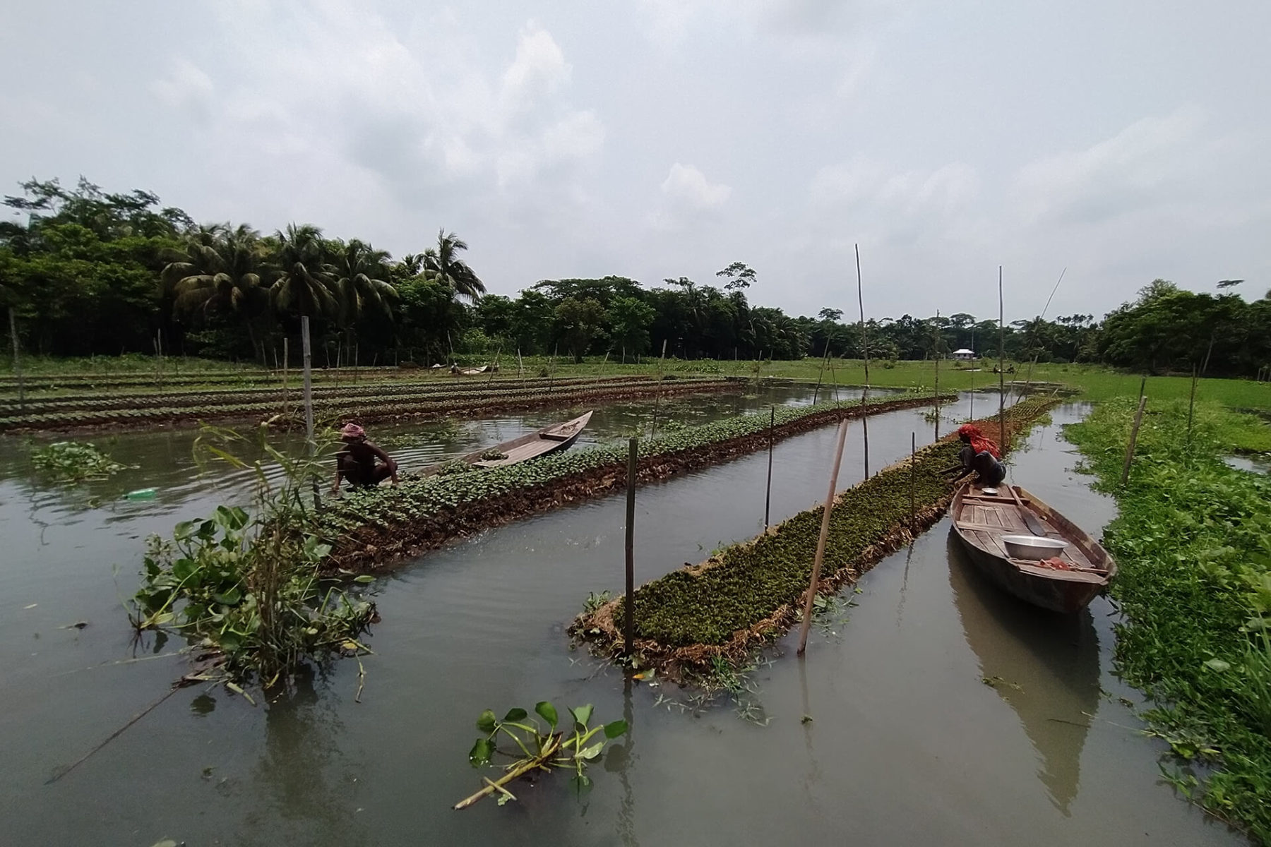 Floating Farms and Water Bodies