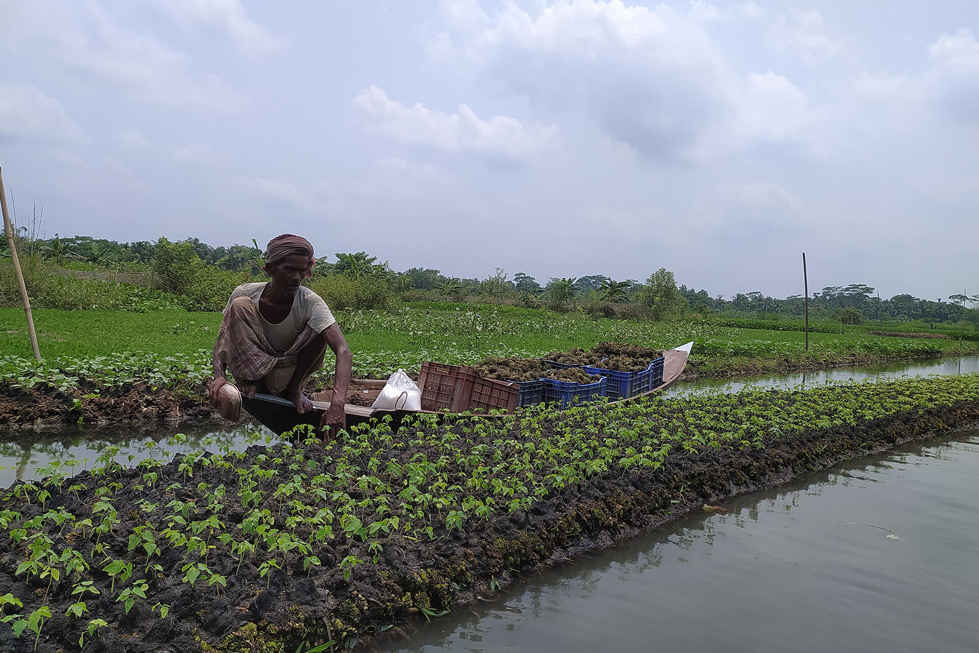 Floating Farms and Water Bodies