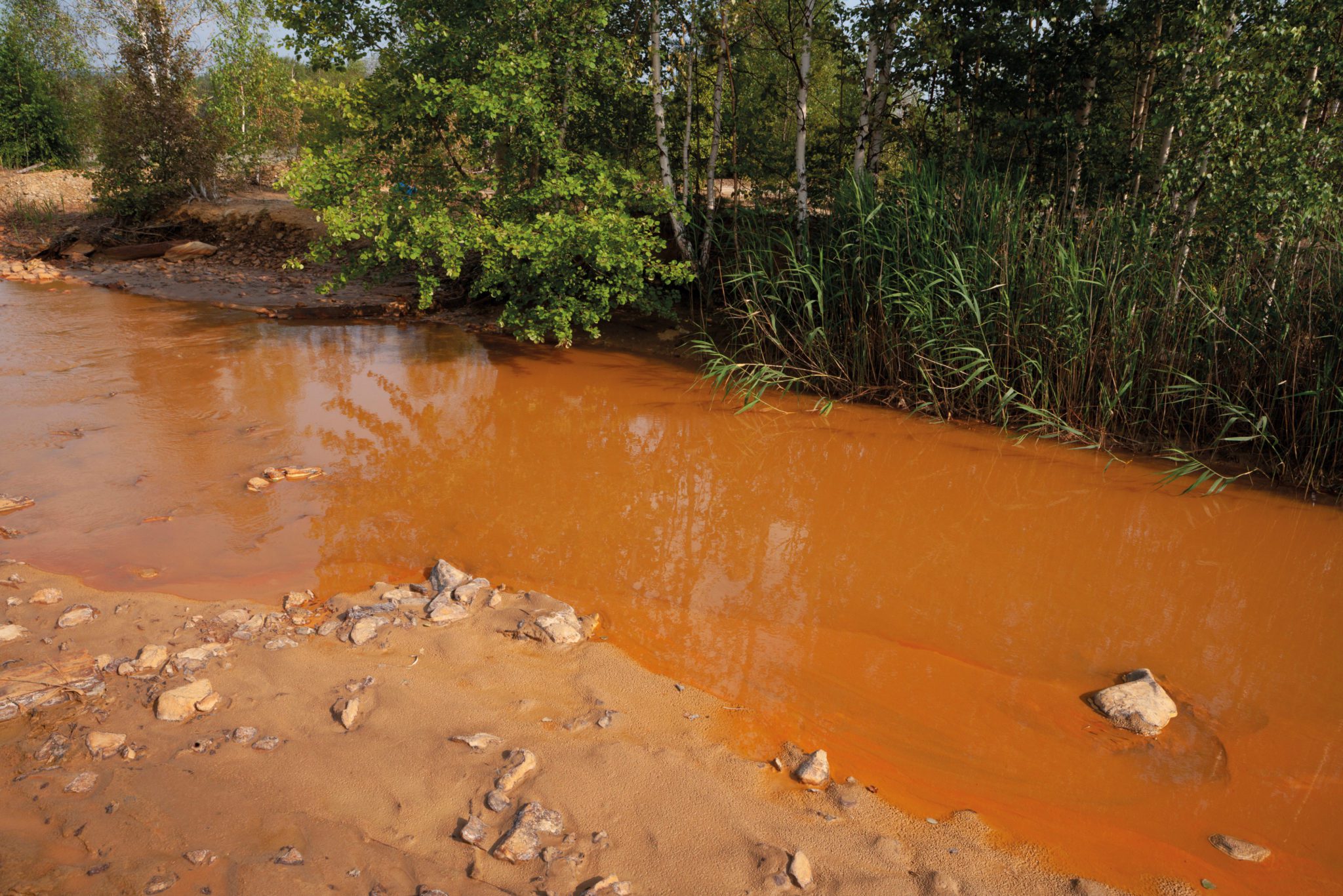 Bruised lands | REVOLVE