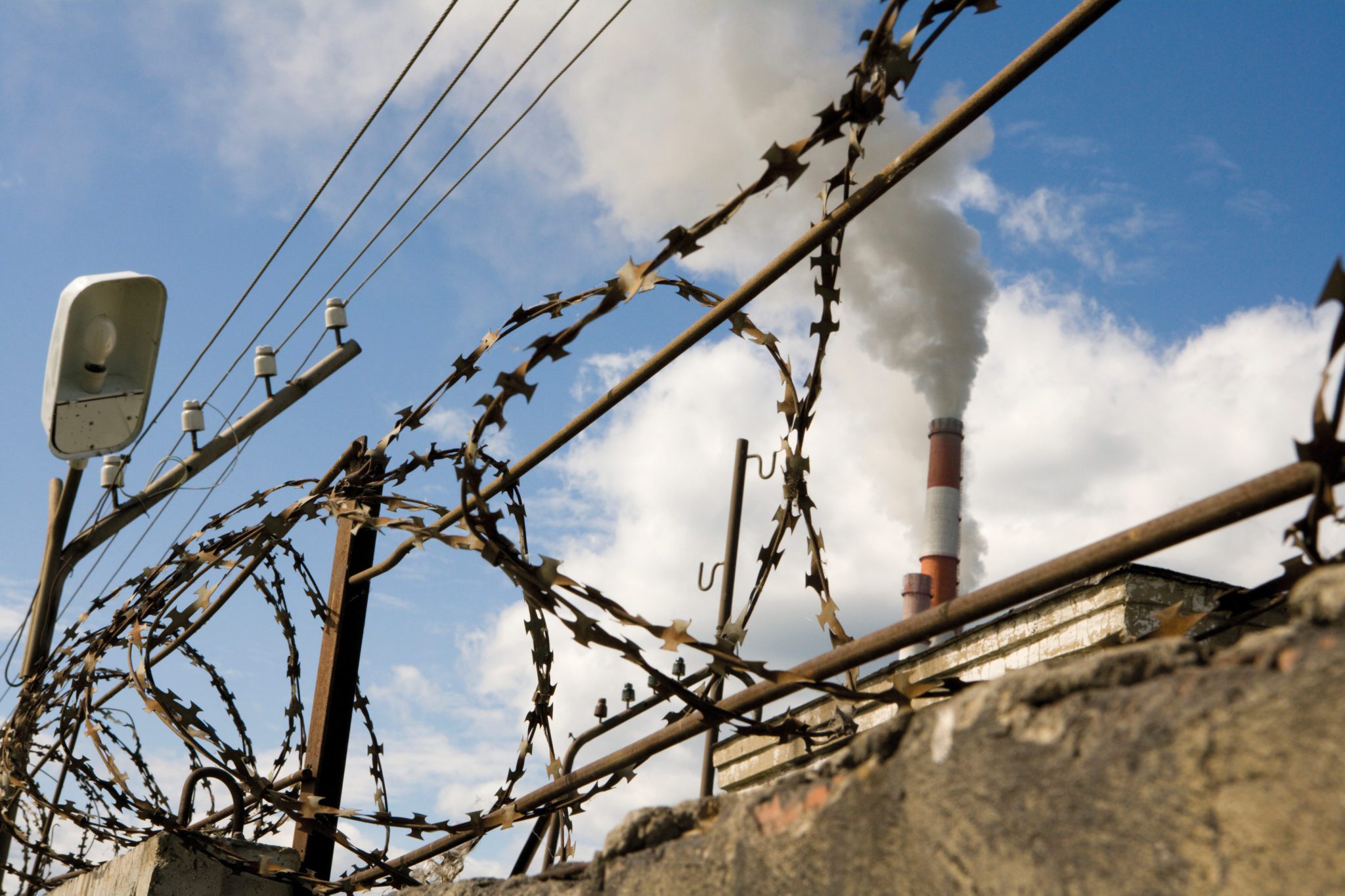 Bruised lands | REVOLVE