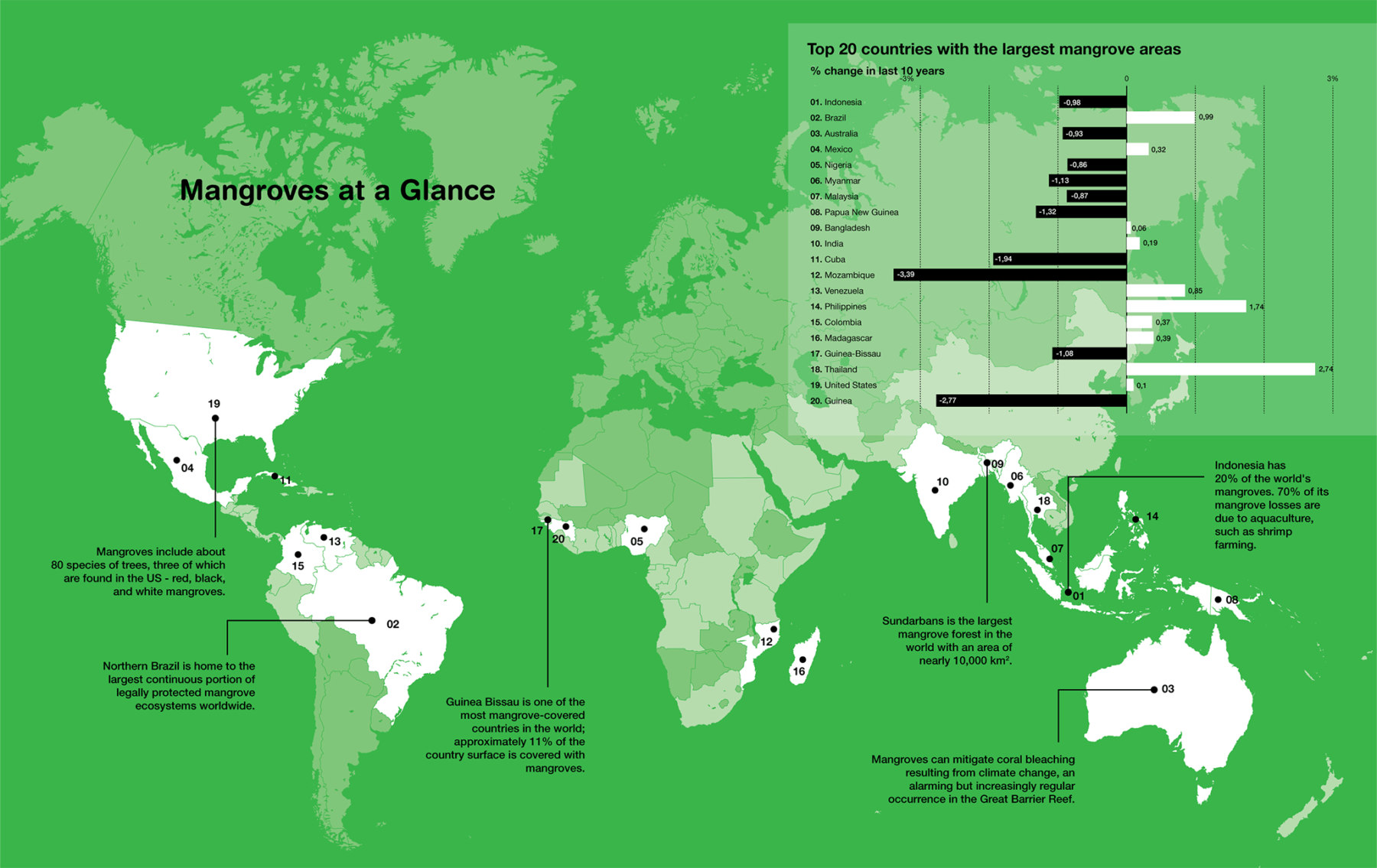 Mangrove Mystique | REVOLVE