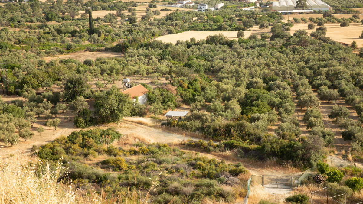 Water Management in Cyprus