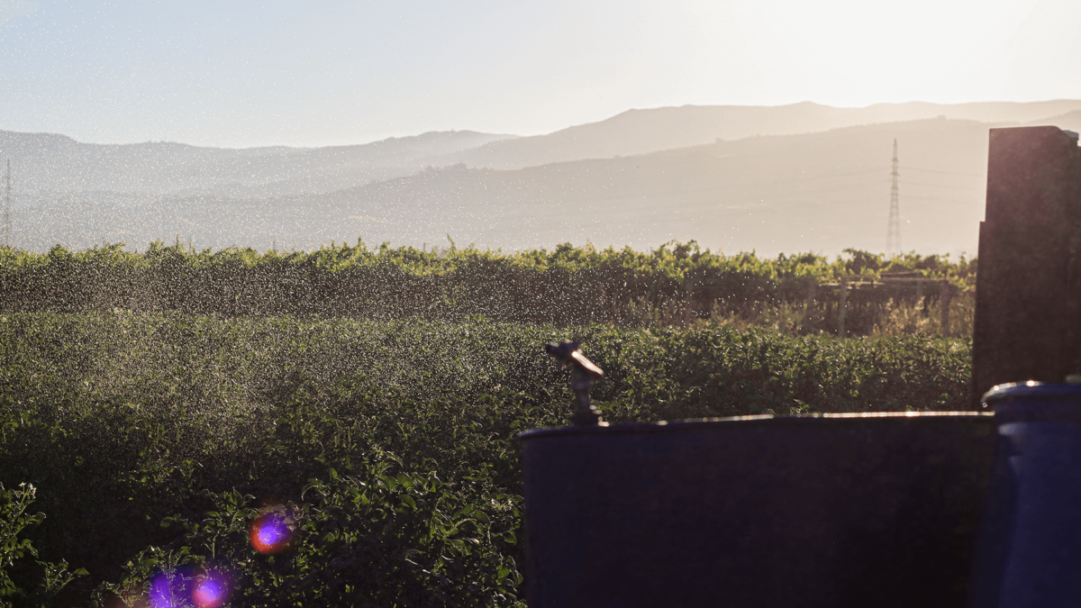 The Arab Region Can Secure More Water Supply