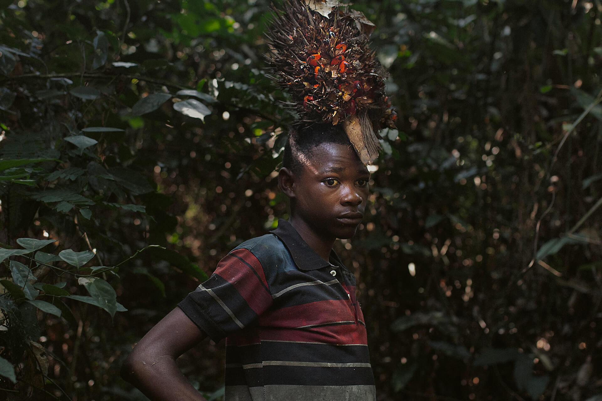 PRIMARY: Defenders of Wounded Forests | REVOLVE