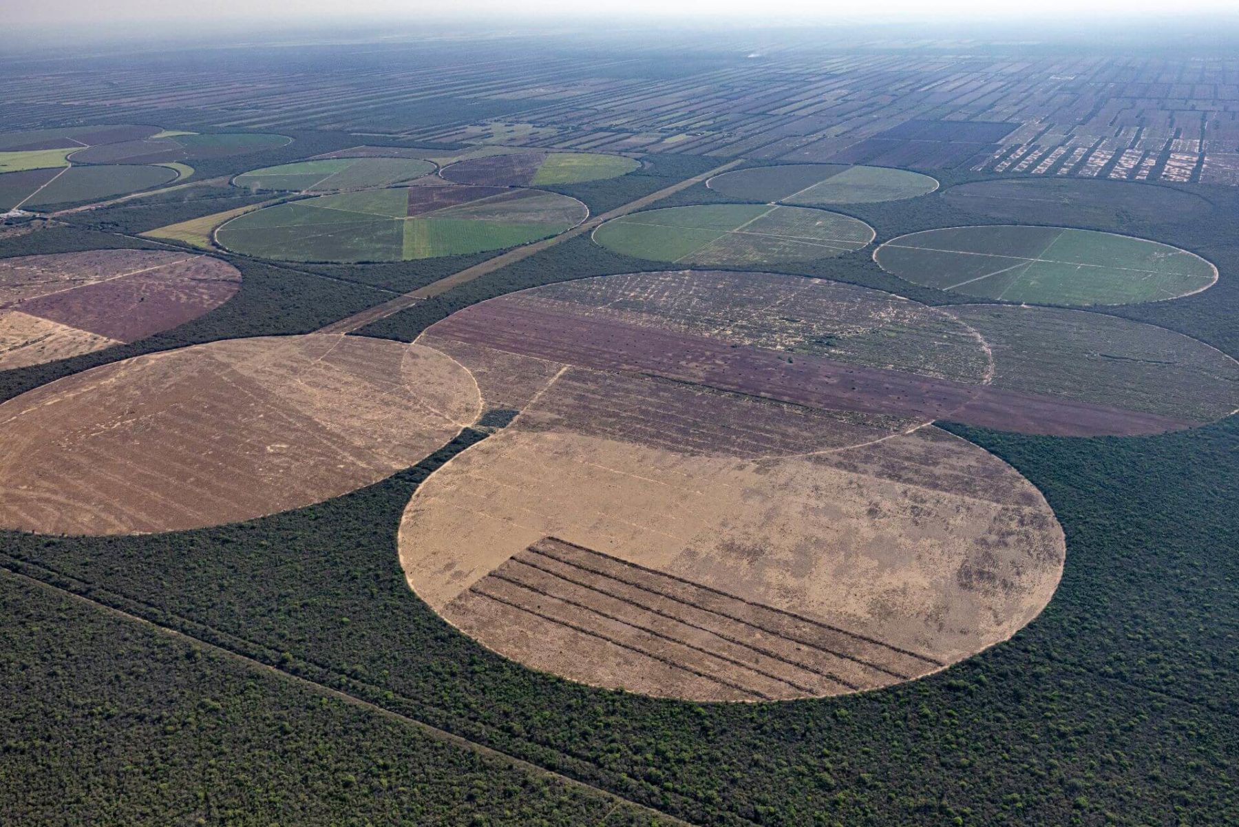 Bolivia's Deforestation Crisis