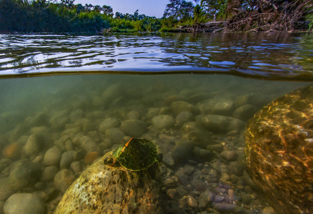 Brahmaputra’s Journey through Assam