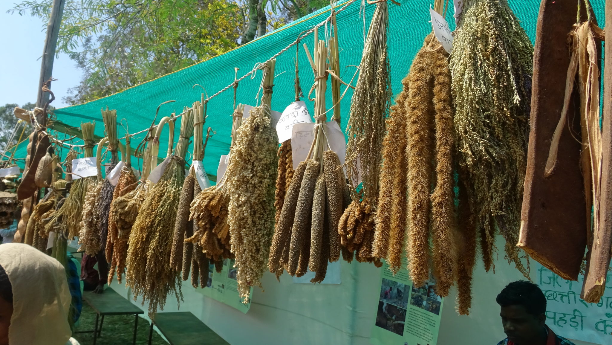 Connecting Culture and Ecology in the Nilgiri Biosphere Reserve