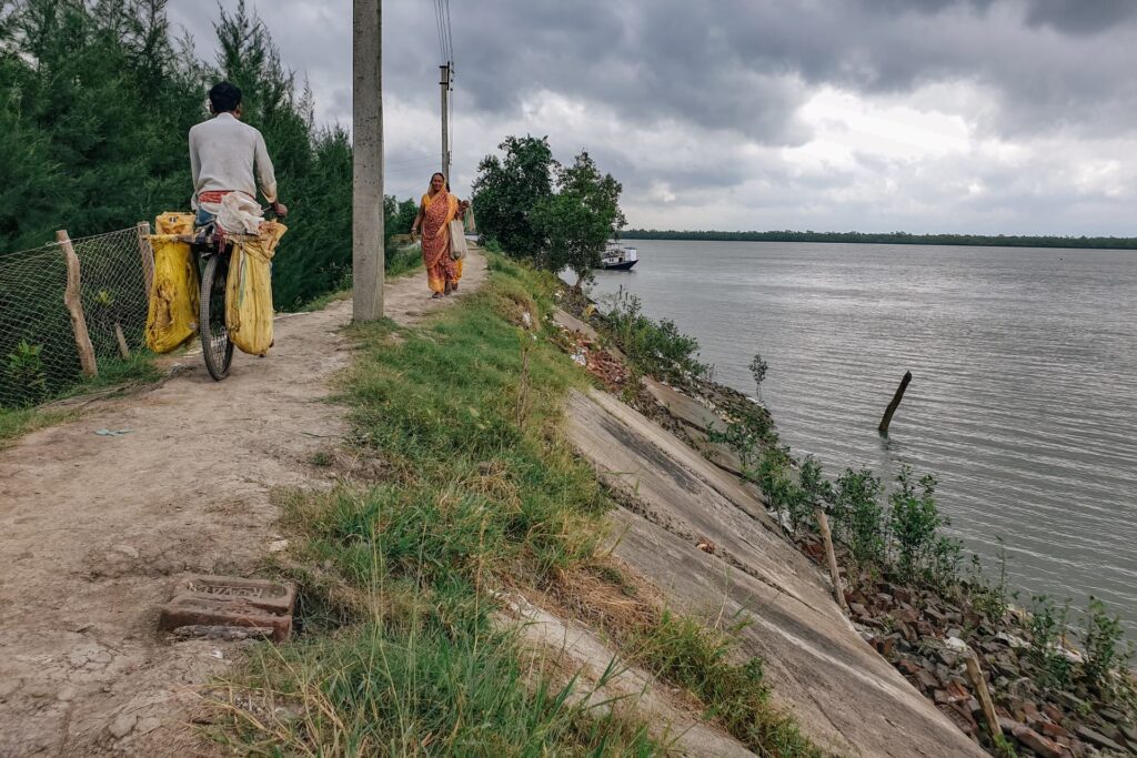 Sundarbans Ecosystem Restoration: Key Challenges | REVOLVE