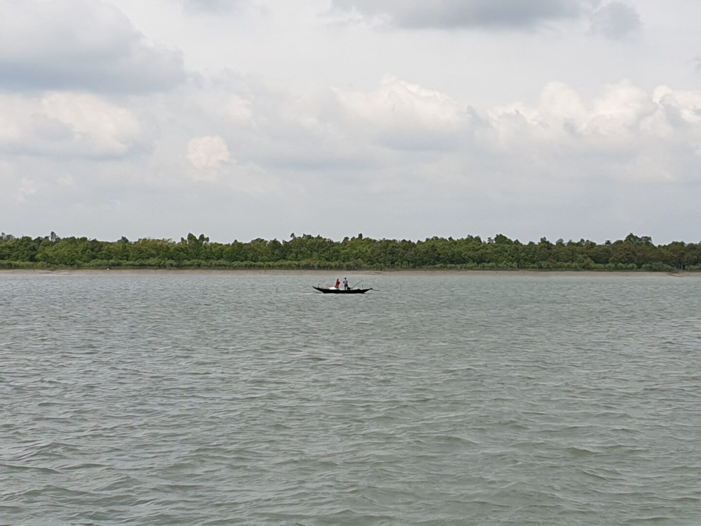 Sundarbans Ecosystem Restoration: Key Challenges | REVOLVE